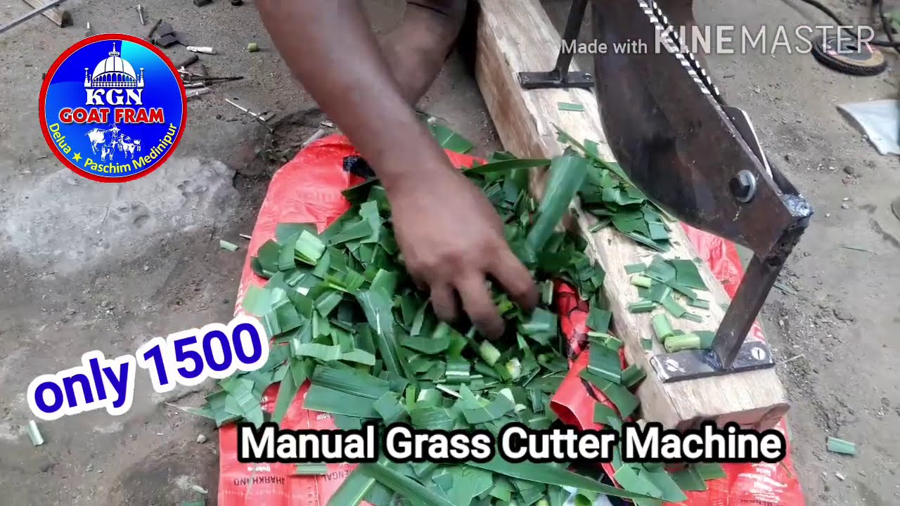 Manual Napier Grass Cutter Machine Only 1500 Delivery Available - YouTube