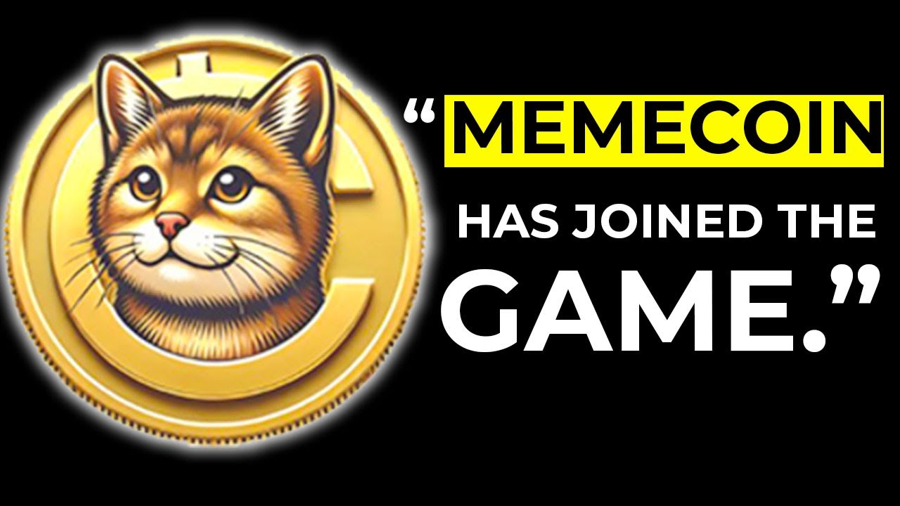 A New Memecoin Has Joined The Game. Cat Season Is Upon Us - YouTube