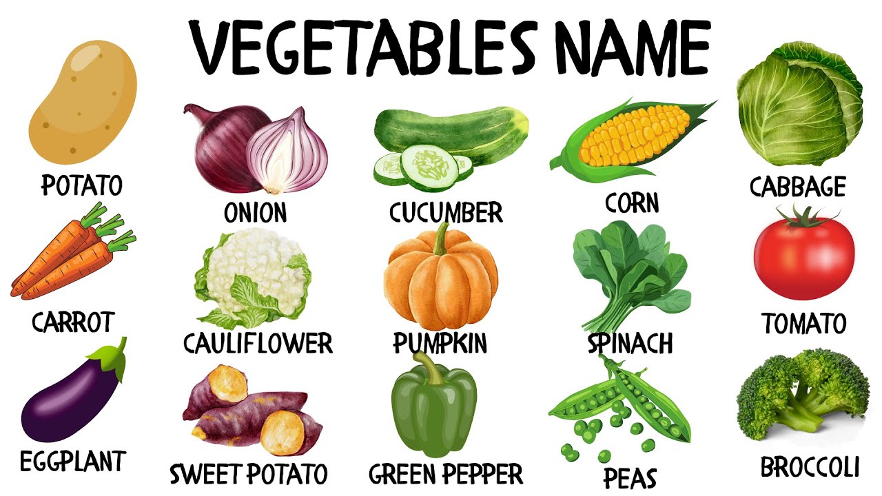 Vegetable Name Vocabulary | English vocabulary for kids 🥕🥦🥒🍅 - YouTube