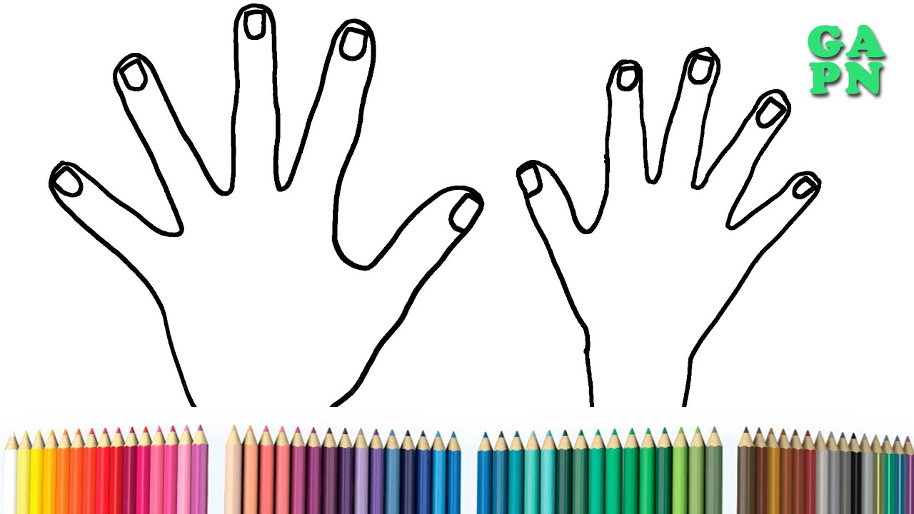 Como Dibujar y Pintar los Dedos de la Mano - Videos Para Niños - Learn ...
