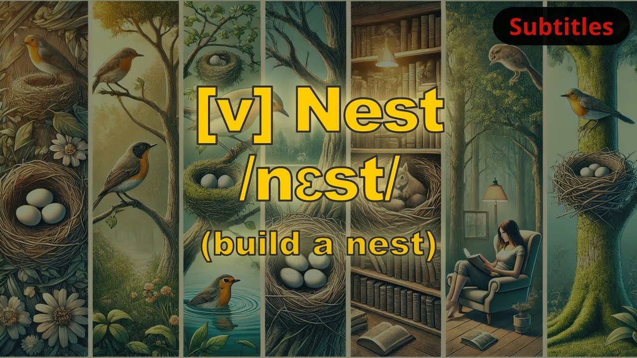[v] Nest meaning (build a nest) with 5 examples - YouTube