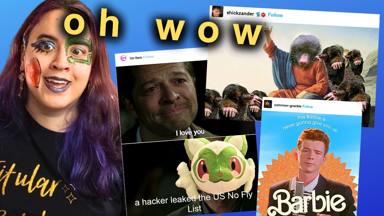 2023 TUMBLR MEMES (is this website ALWAYS on fire??) - YouTube