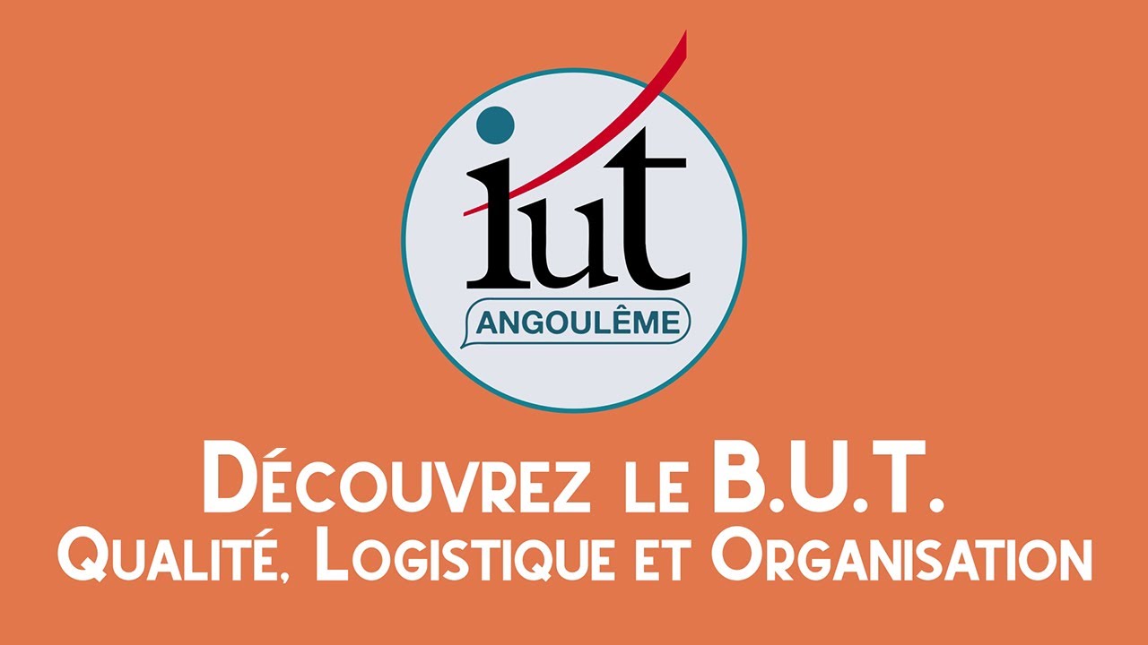 Présentation B.U.T. QLiO 2021 - YouTube