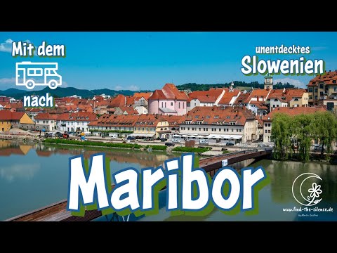Maribor - Sloweniens Stadt mit der Weinrebe - Slowenien mit dem Wohnmobil