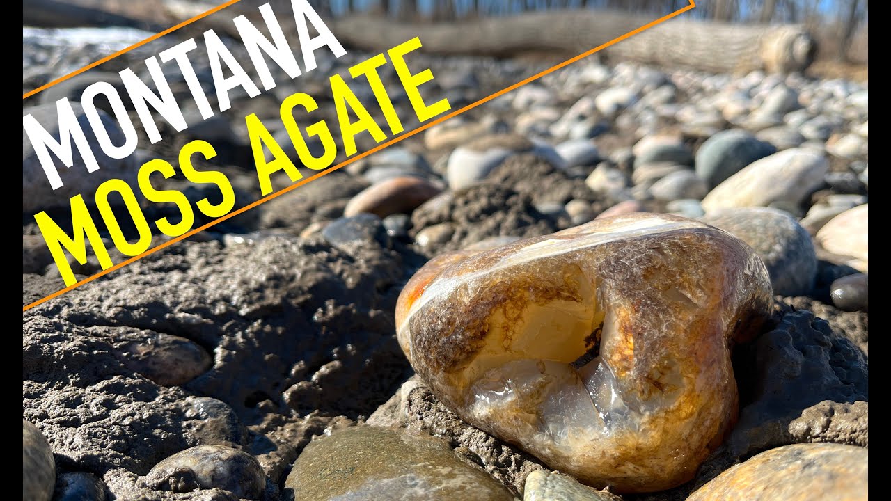 I FOUND A BIG ONE!!! | Winter Moss Agate Hunting on the Yellowstone ...