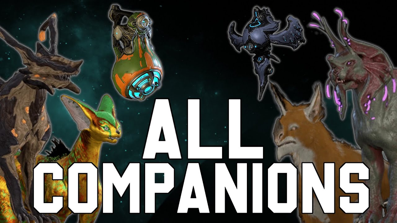 All Companions of Warframe - YouTube