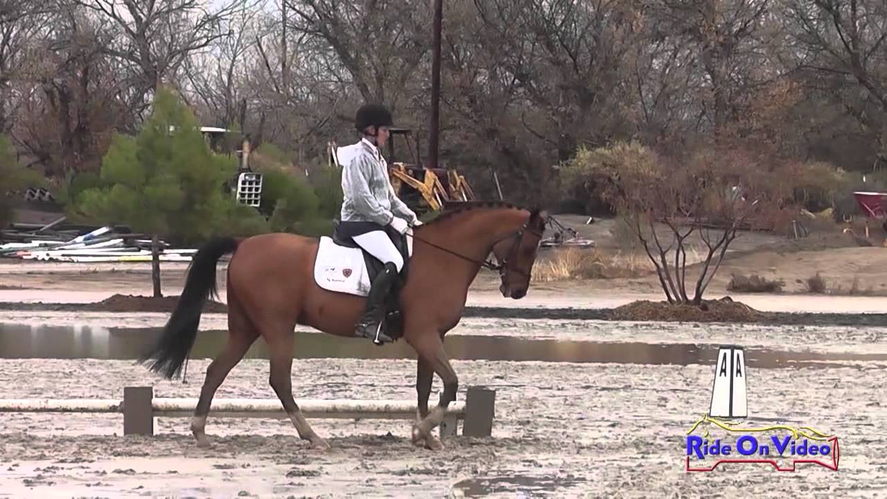 381D Bec Braitling on Breez Zing Open Beginner Novice Dressage Twin ...