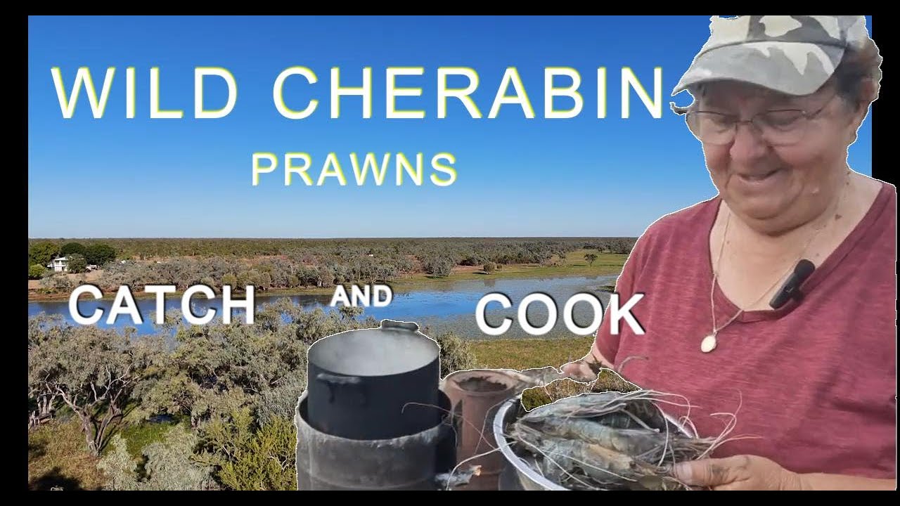 Catch And Cook Cherabin Pawns In Far North Queensland - YouTube