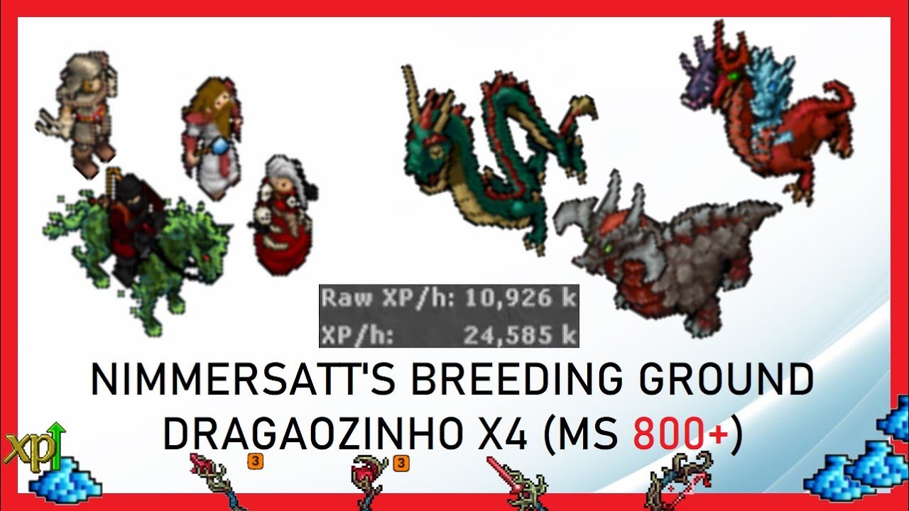 Tibia Hunt - Dragãozinho x4 (MS 800+) - YouTube