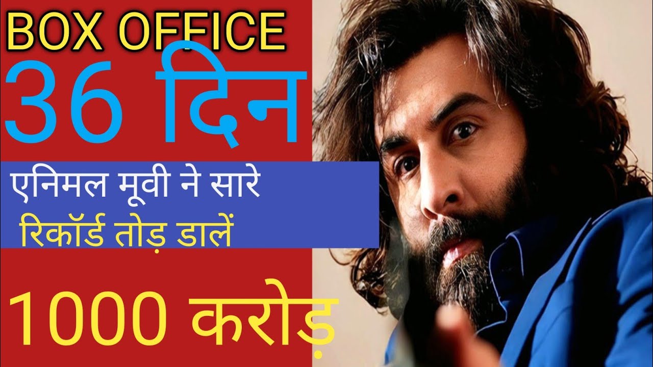 ANIMAL BOX-OFFICE COLLECTION|| WORLD WIDE COLLECTION ANIMAL - YouTube