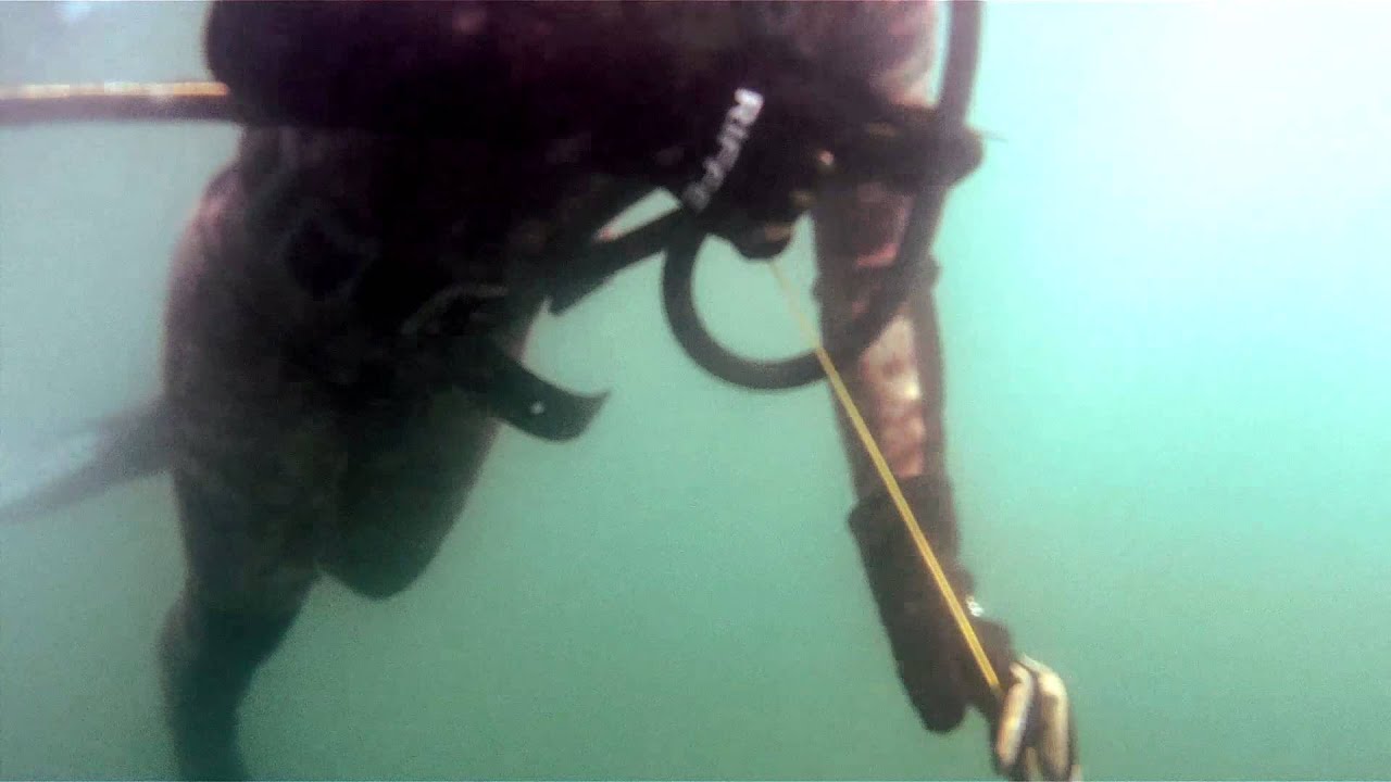 Lilian Horayama - Novo Recorde Mundial de Robalo Negro do Pacífico ...