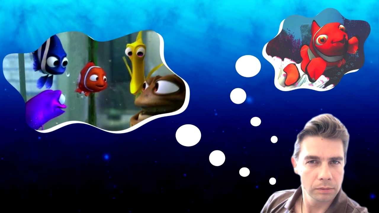 Nemo vs. Pierrot: Lawsuit against the world's famous clownfish - YouTube