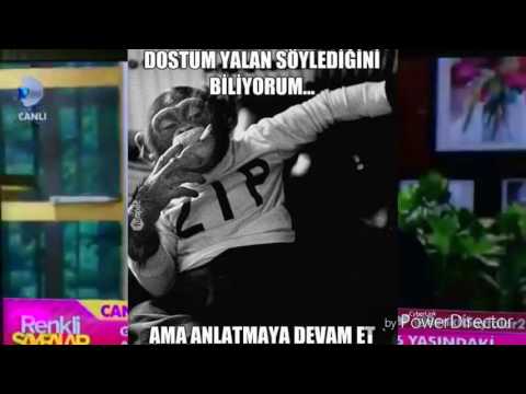 Aleyna tilki ve egosu ( yalan söylediğini biliyorum dostum ama anlatmaya devam et )