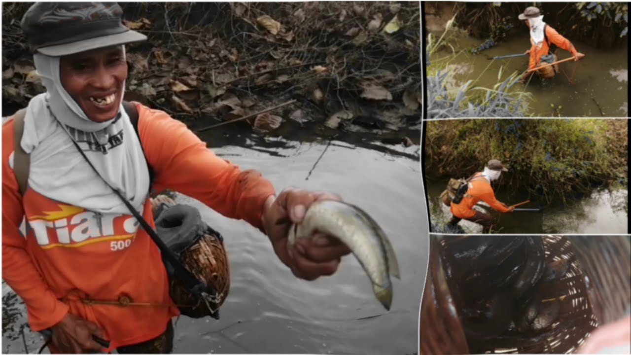 Fishing using electricity / Buhay sa Bukid manghuli ng isda sa sapa ...