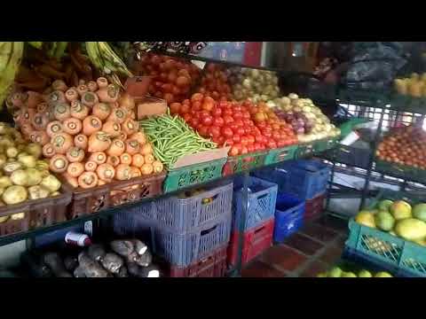 Lo mas fresco - YouTube