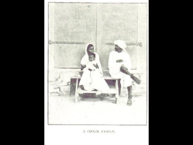 Jamaican Coolie People