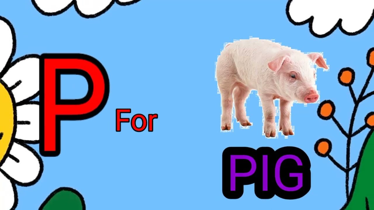 p for peacock/p for parrot/ p for pineapple/a for apple to z for zebra ...