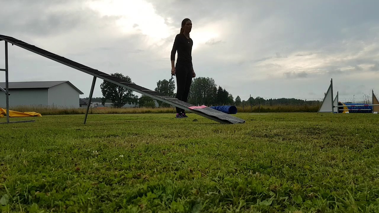 Kira running contacts träning 9/8-2017 - YouTube