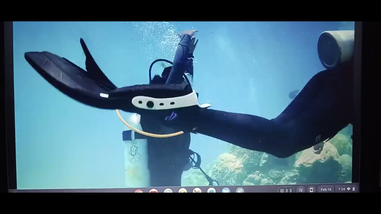 Dive Club (2021) Netflix Scuba Scene - YouTube