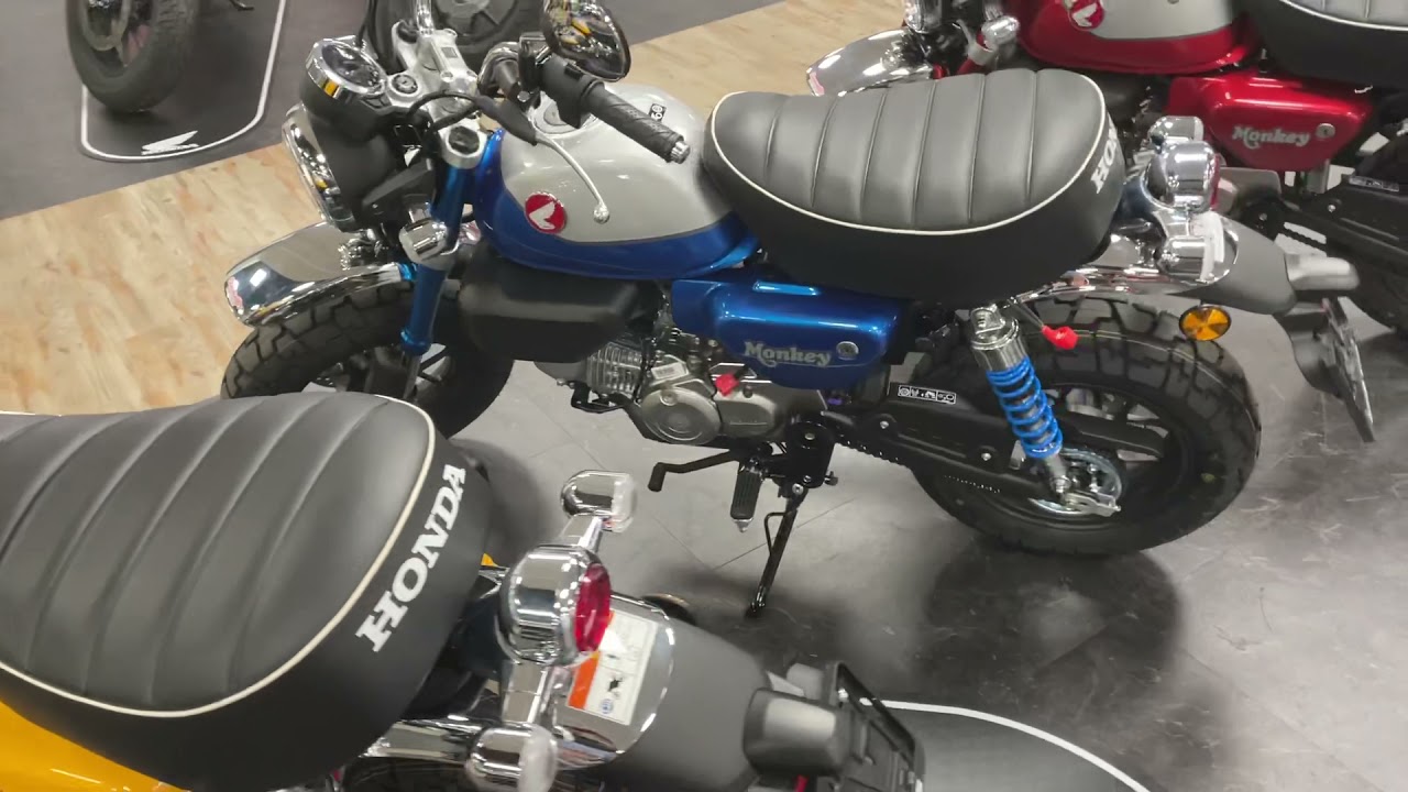Honda Monkey 125 2022 Yellow Blue Red, Europe - YouTube