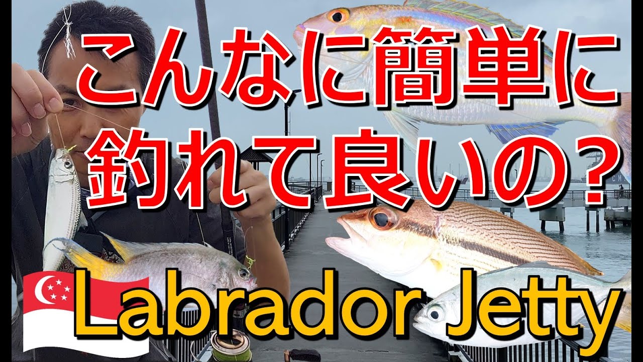 So easy to catch fish?『Labrador Park Jetty』シンガポール海釣り：こんなに簡単に釣れて良いの ...