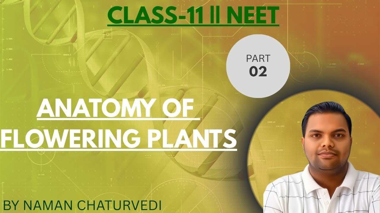 ANATOMY ll PART-02 ll CLASS-11 ll NEET - YouTube