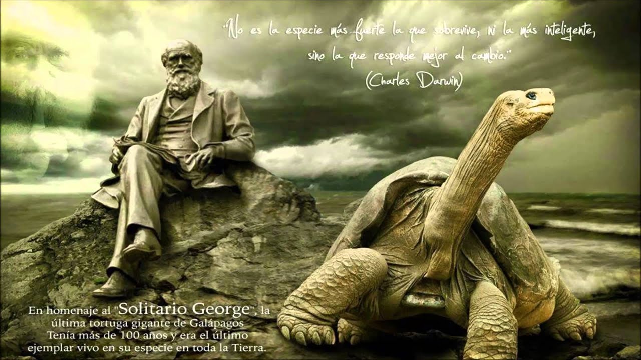 SOLITARIO GEORGE. Alberto Cueva Lobelle - YouTube