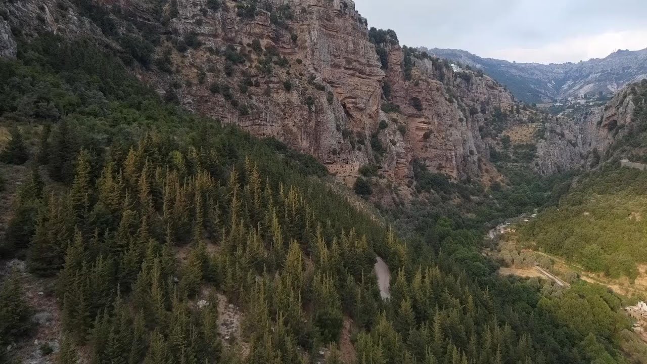 One of Lebanon's most sacred forest and valley, feels the heat of ...