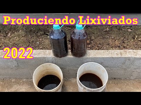Como Hacer o Producir Lixiviados de Lombriz. Año 2022 (25) #lixiviados ...