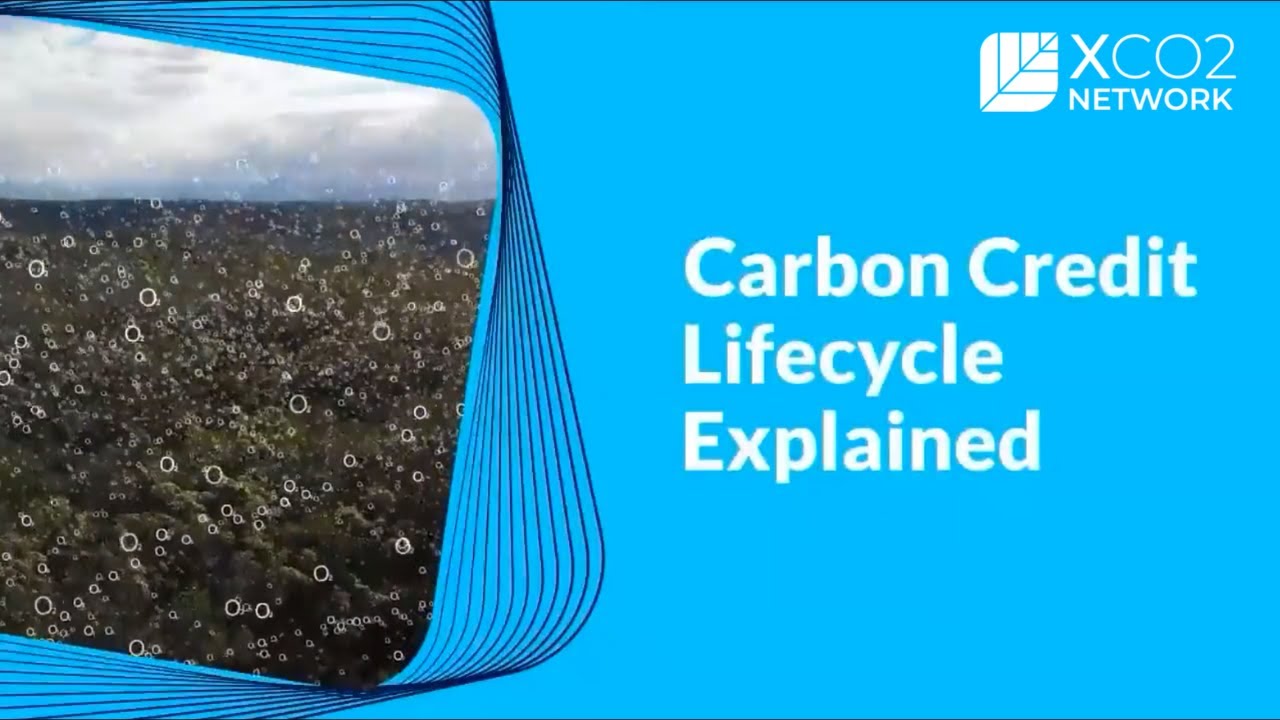 The Carbon Credit Lifecycle Explained | XCO2 Network - YouTube