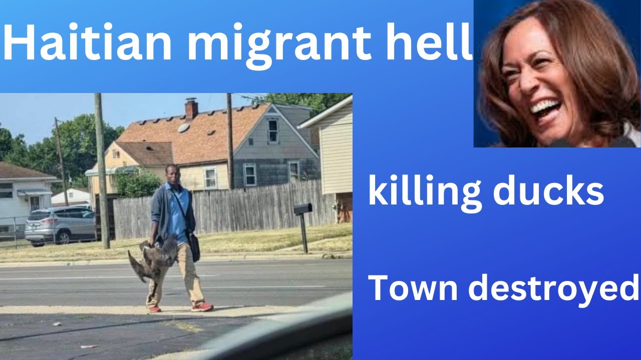 Haitian migrant eating ducks. migrants 75 percent of all arrests ...