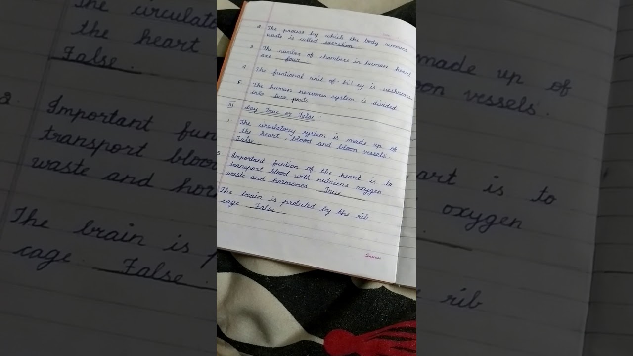 Science For Fifth Standard Science YouTube science-for-fifth-standard-science-youtube