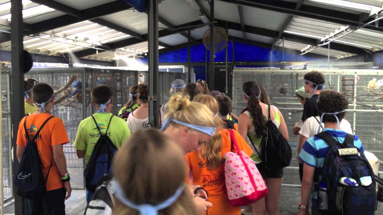 Camp SeaWorld Interns 2012.mov - YouTube
