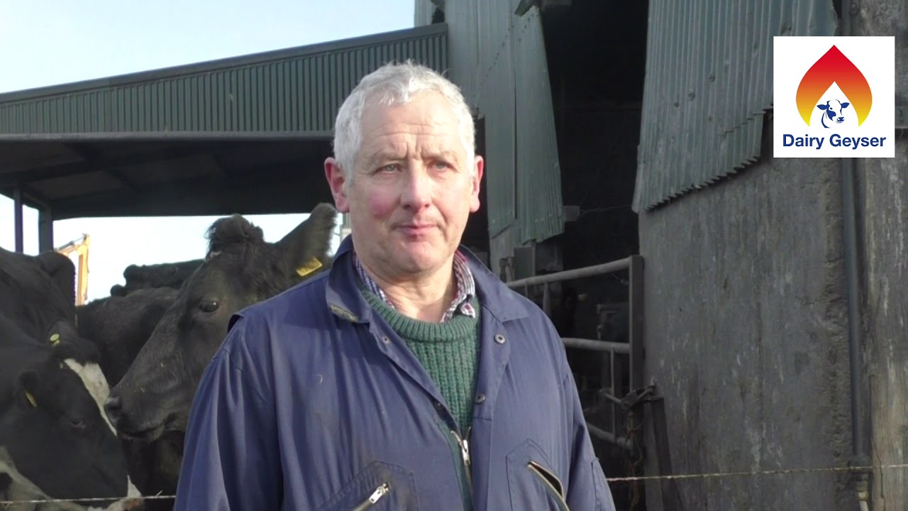 Dairy Geyser Testimonial / Eamon Murphy - YouTube