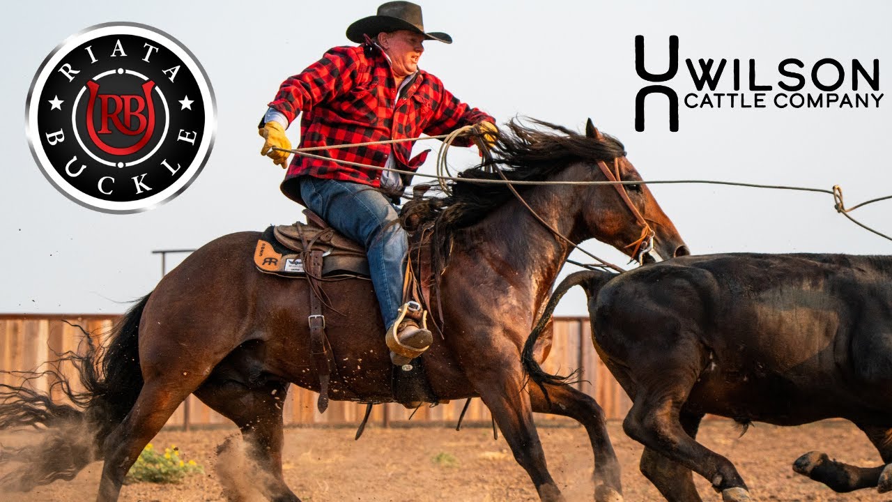 Kaw-Liga: Wilson Cattle Co x Riata Buckle Sale 2024 - YouTube