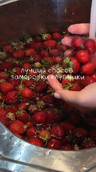 Клубника на зиму💥🍓 #рецепты #заморозкаклубники #клубниканазиму #рек # ...
