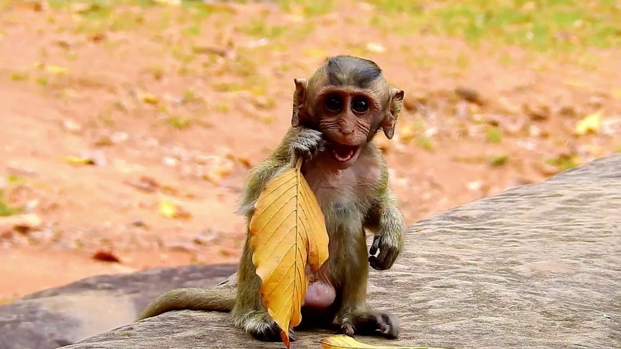 Pitiful Poor Baby Dakota Not Better Baby Till Hurt - YouTube