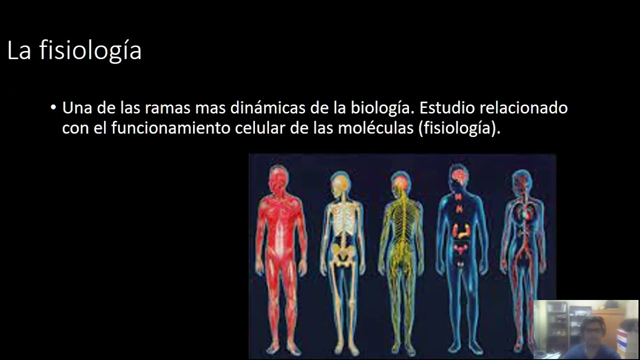 Importancia de la bioquímica en la medicina humana 2021, Paucar - YouTube