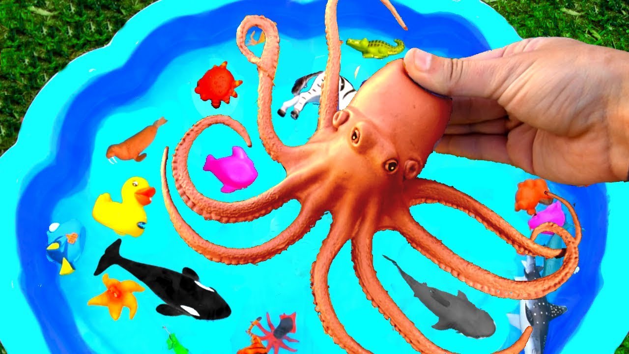 Learn Sea and Wild Animals in Blue Water Pool | Big Shark Toys For Kids ...