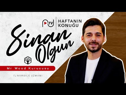 Mr. Wood'a sorduk: Hikaye nasil başladı?