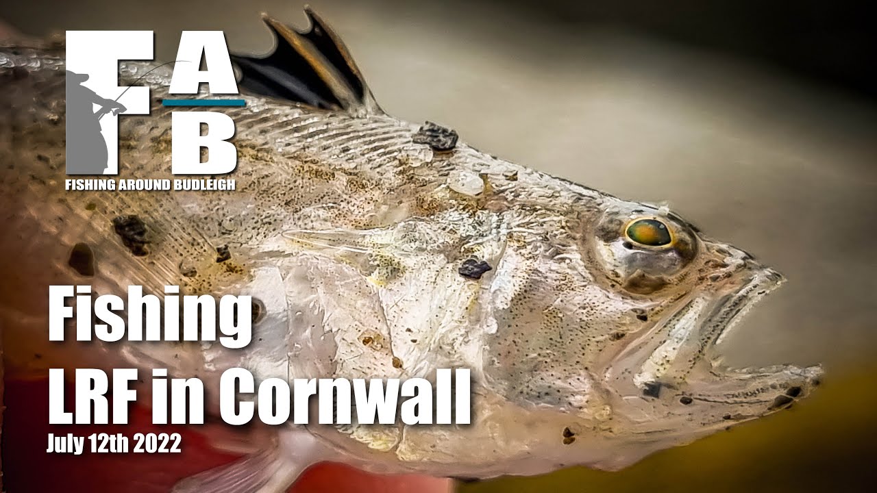LRF Fishing in Cornwall - July 12th 2022 - YouTube