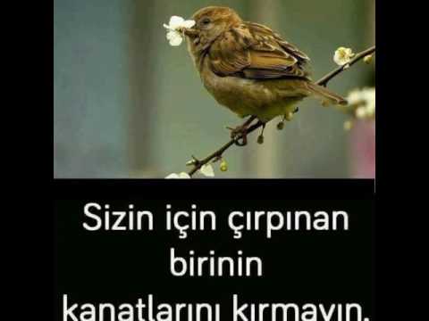 Git yoluna sevdiğim