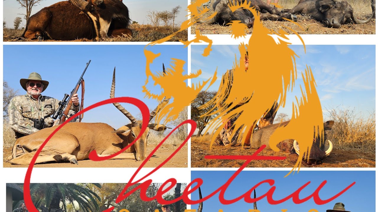 Great Week Of Buffalo Cow Hunting With Uncle Charlie And Uncle John ...