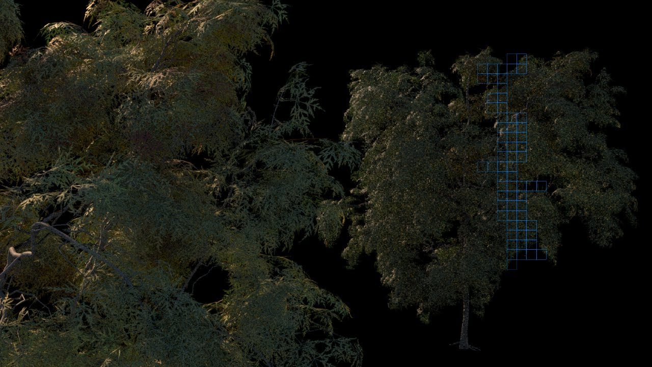 SpeedTree to Houdini, RenderMan Shader conversion. - YouTube