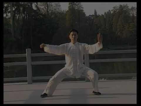 Chen Style Tai Chi Old Frame 1st Routine (Part 2) - YouTube