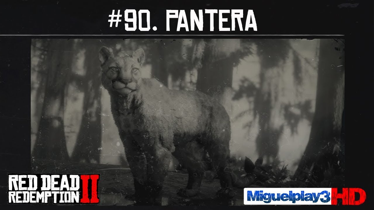 Localización Pantera - #90. Compendio Animales - Red dead redemption 2 ...