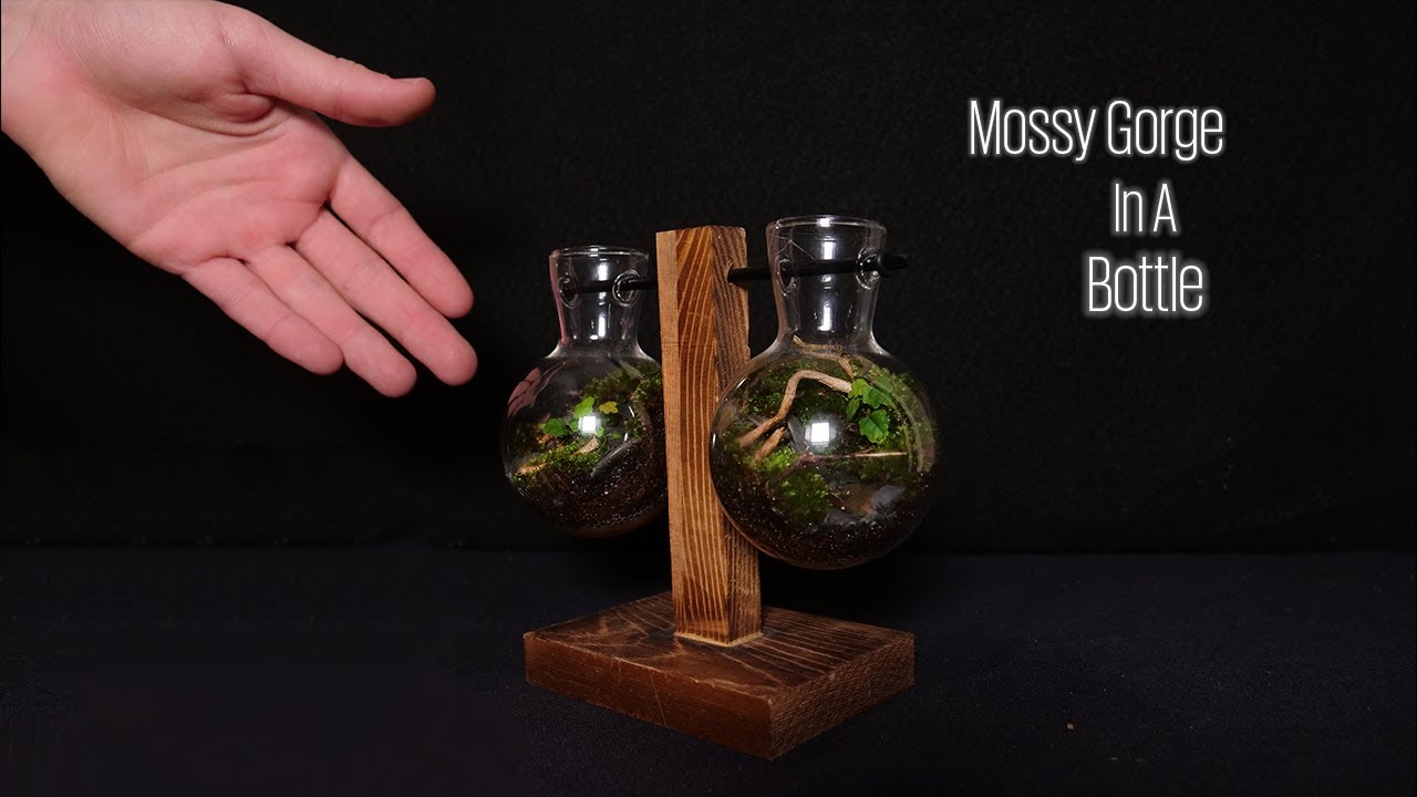 Dual Terrarium Moss Gorge | (Bioactive) - YouTube