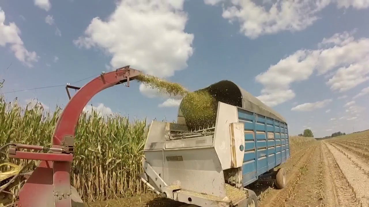 Chopping corn silage 2017!! - YouTube