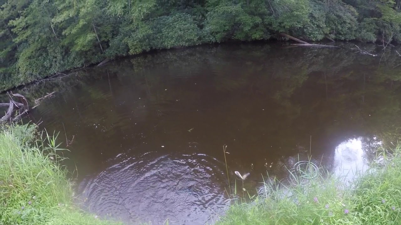 The fishing challenge 2019 with Blue Collar Fishing... Who will win ...