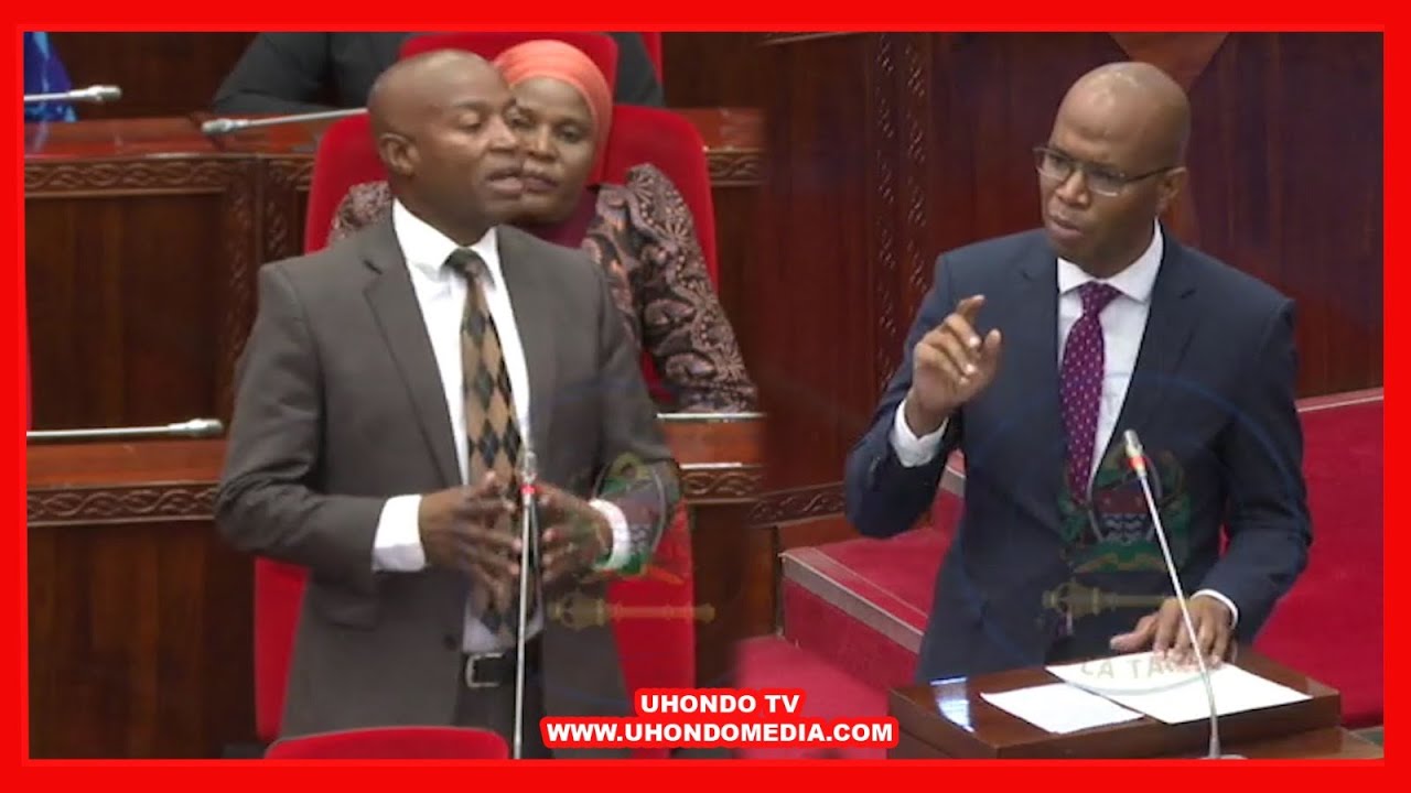 MBUNGE WA MAFINGA COSATO CHUMI ASHUSHA NONDO NZITO BUNGENI "MAJIRANI ...